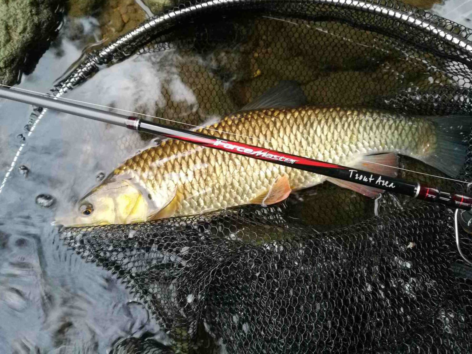 Shimano Trout Area Ultra Light trout rod tested on the stream and river ...