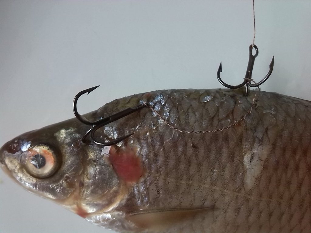 The Top 5 Best VR Fishing Games for a Realistic Fishing Experience ...