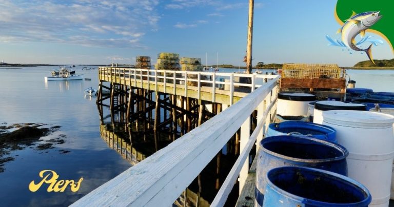 8 Best Fishing Piers in Destin ~ Captain Dixon