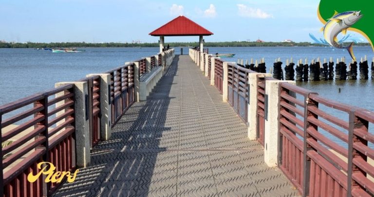 8 Best Fishing Piers in Freeport ~ Captain Dixon