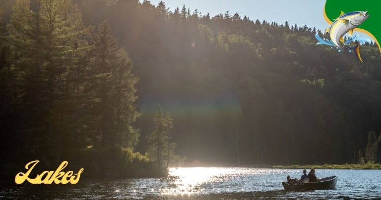 The 8 Best Fishing Lakes in Wisconsin ~ Captain Dixon
