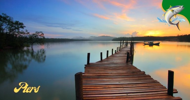 8 Best Fishing Piers in Broward County ~ Captain Dixon