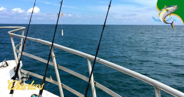 Six of the Best Bimini Fishing Charters to Choose From ~ 2025 Captain Dixon