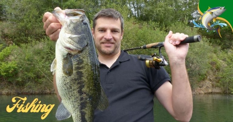 Top-Quality Bass Fishing Productions: Get Ready for the Catch of a ...