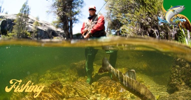 The Top 5 Best VR Fishing Games for a Realistic Fishing Experience ...