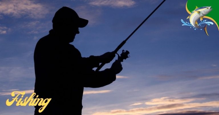 The Top 5 Best VR Fishing Games for a Realistic Fishing Experience ...