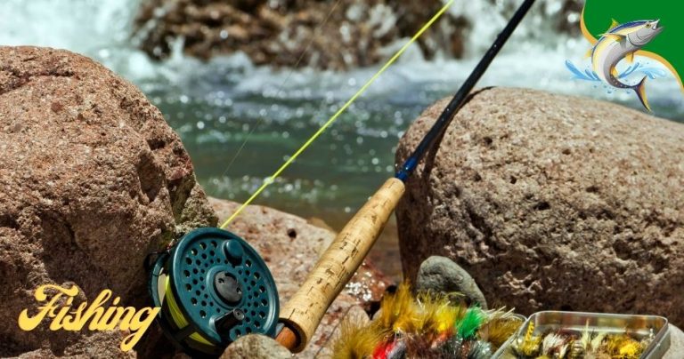 The Top 5 Best VR Fishing Games for a Realistic Fishing Experience ...